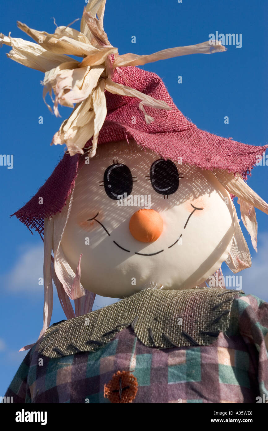 Scarecrow face hi-res stock photography and images - Alamy