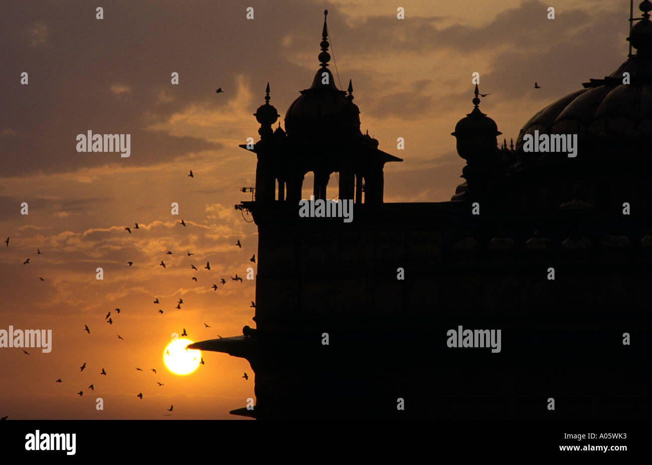 Sunset over the Golden temple, the heart of Sikhism. Amritsar, Punjab ...