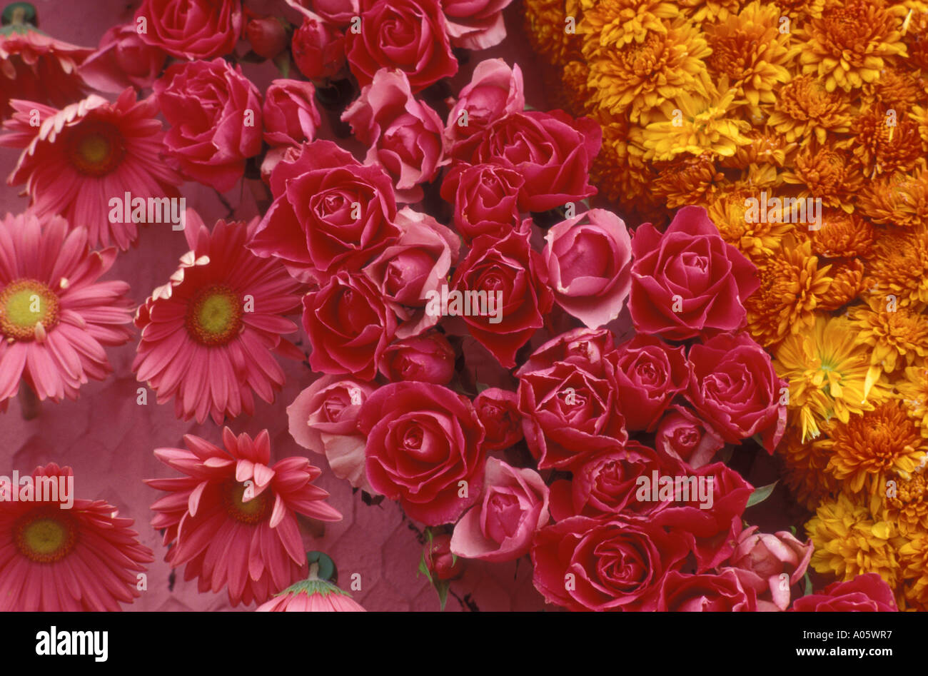 Flowers attached to a float on a Tournament of Roses Parade float ...