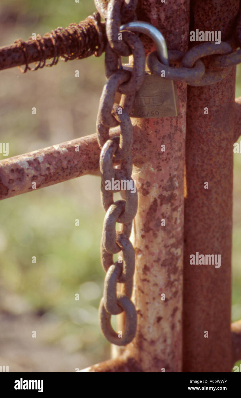 Rusty steel farm gate with corrosion resistant brass bodied padlock ...