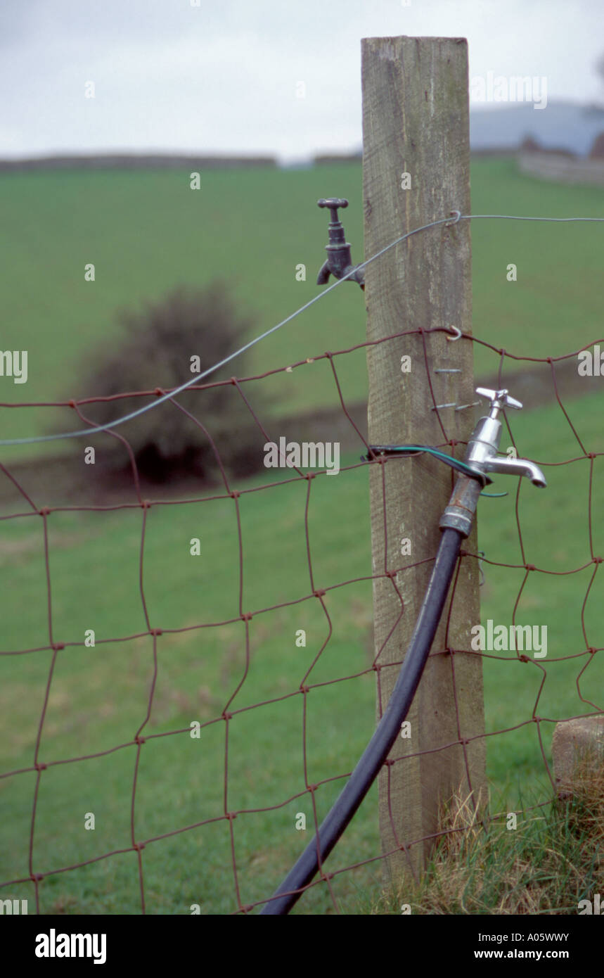 Field water supply with taps to grazing land, Peak District, England ...