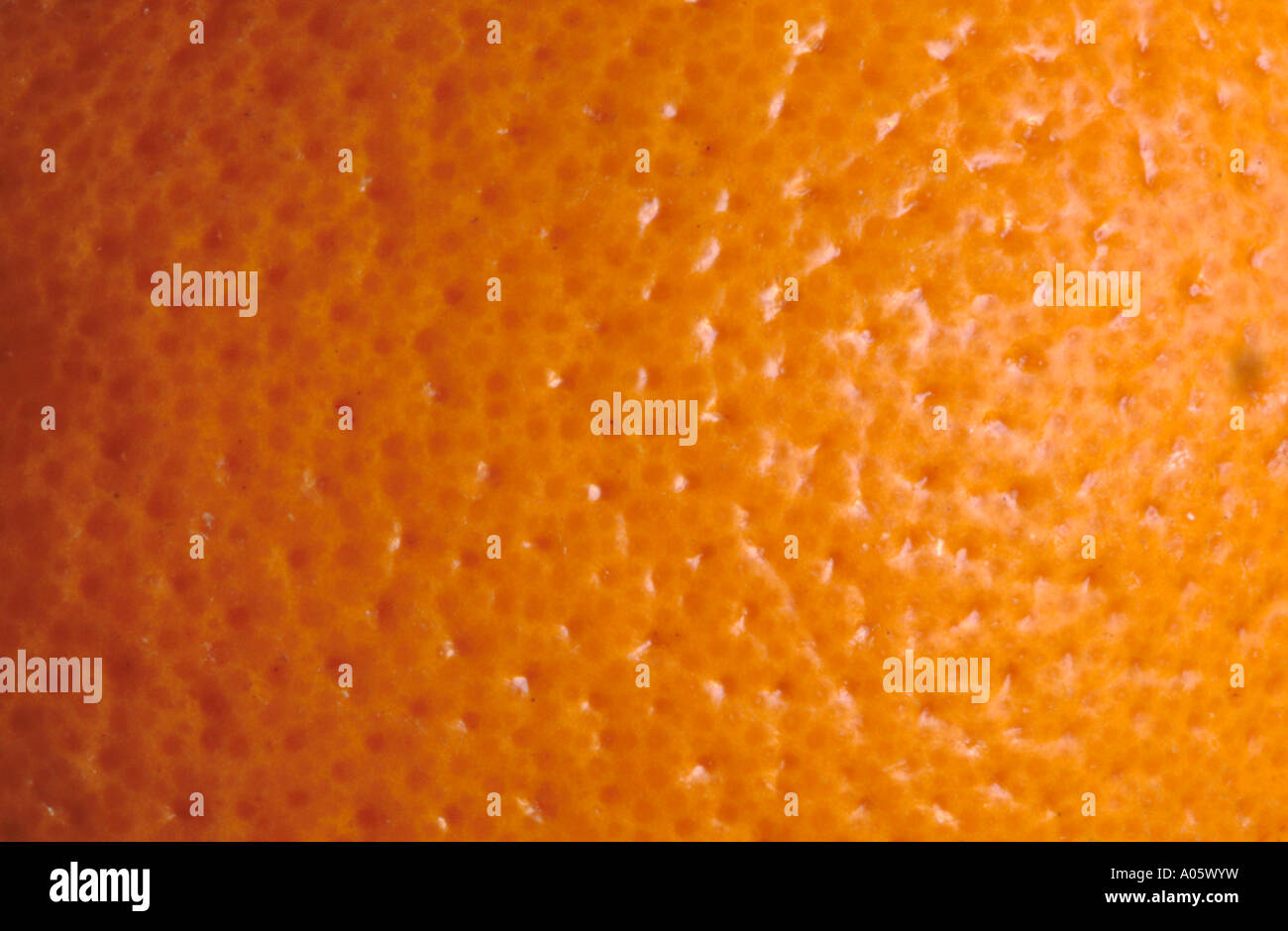 Dimples in skin of orange hi-res stock photography and images - Alamy