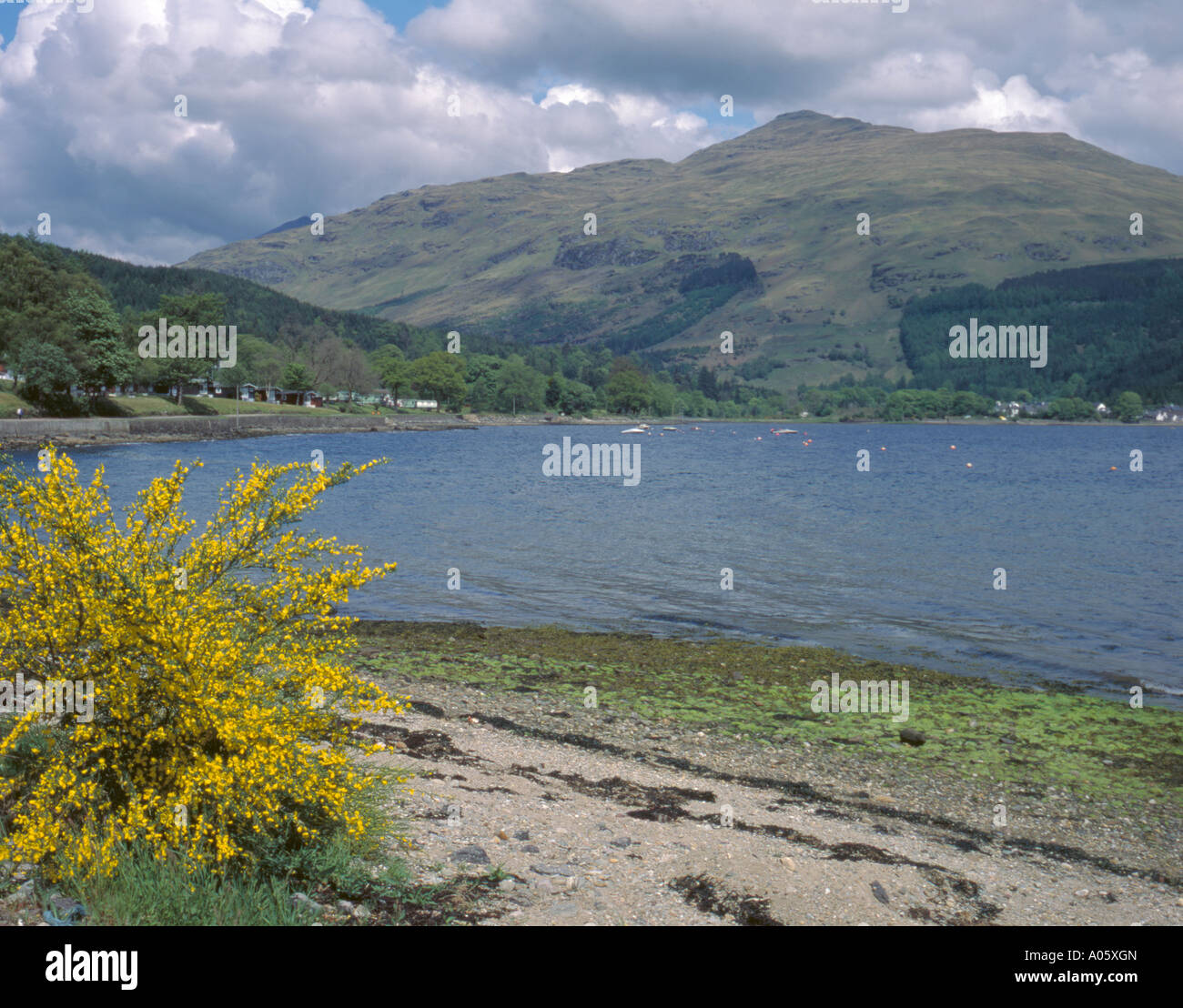 Loch Goil, off Loch Long, Stratchclyde Region, Scotland, UK Stock Photo ...