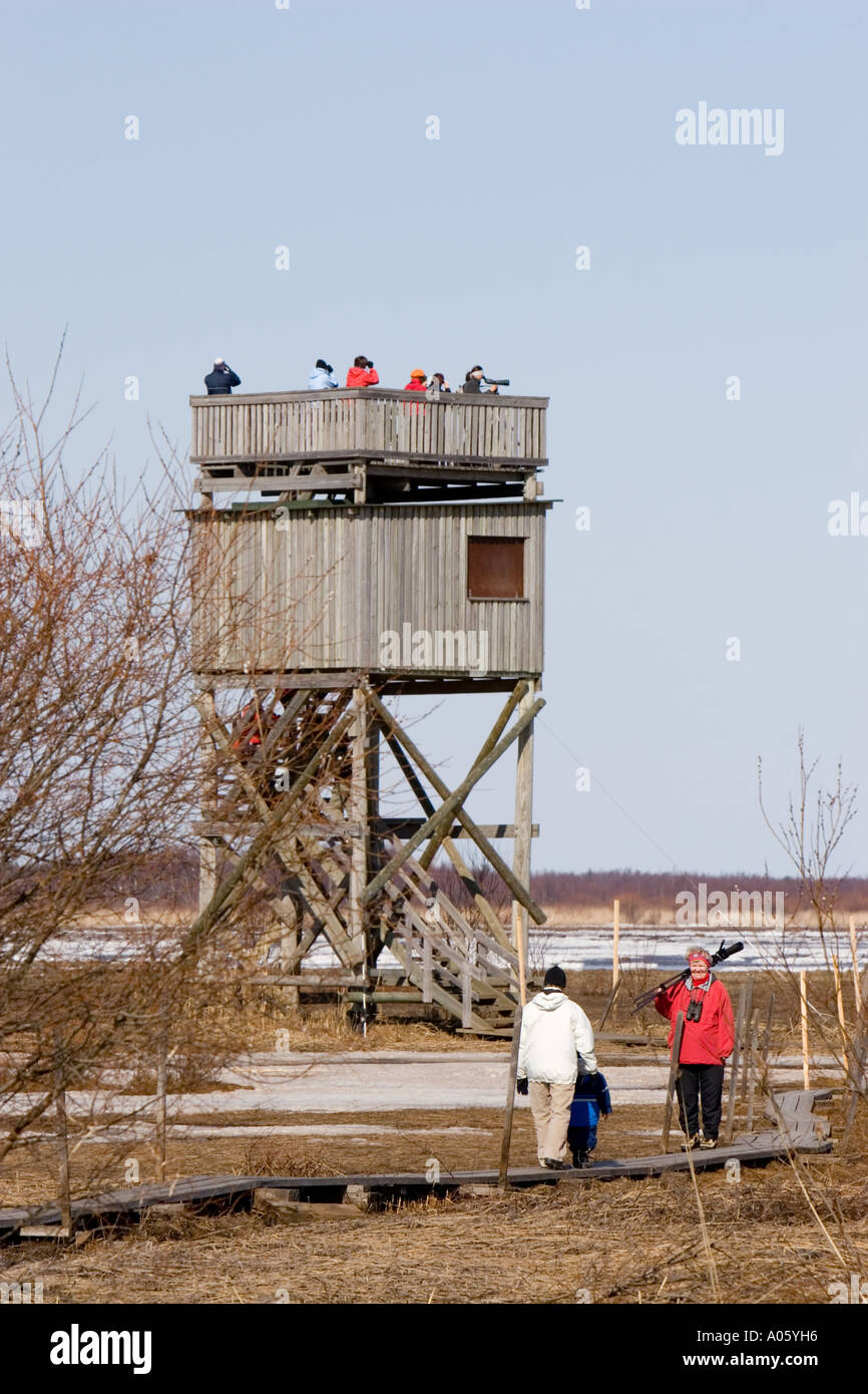 Birdwatchers walking to a belvedere at Liminka Bay Nature Reserve ...