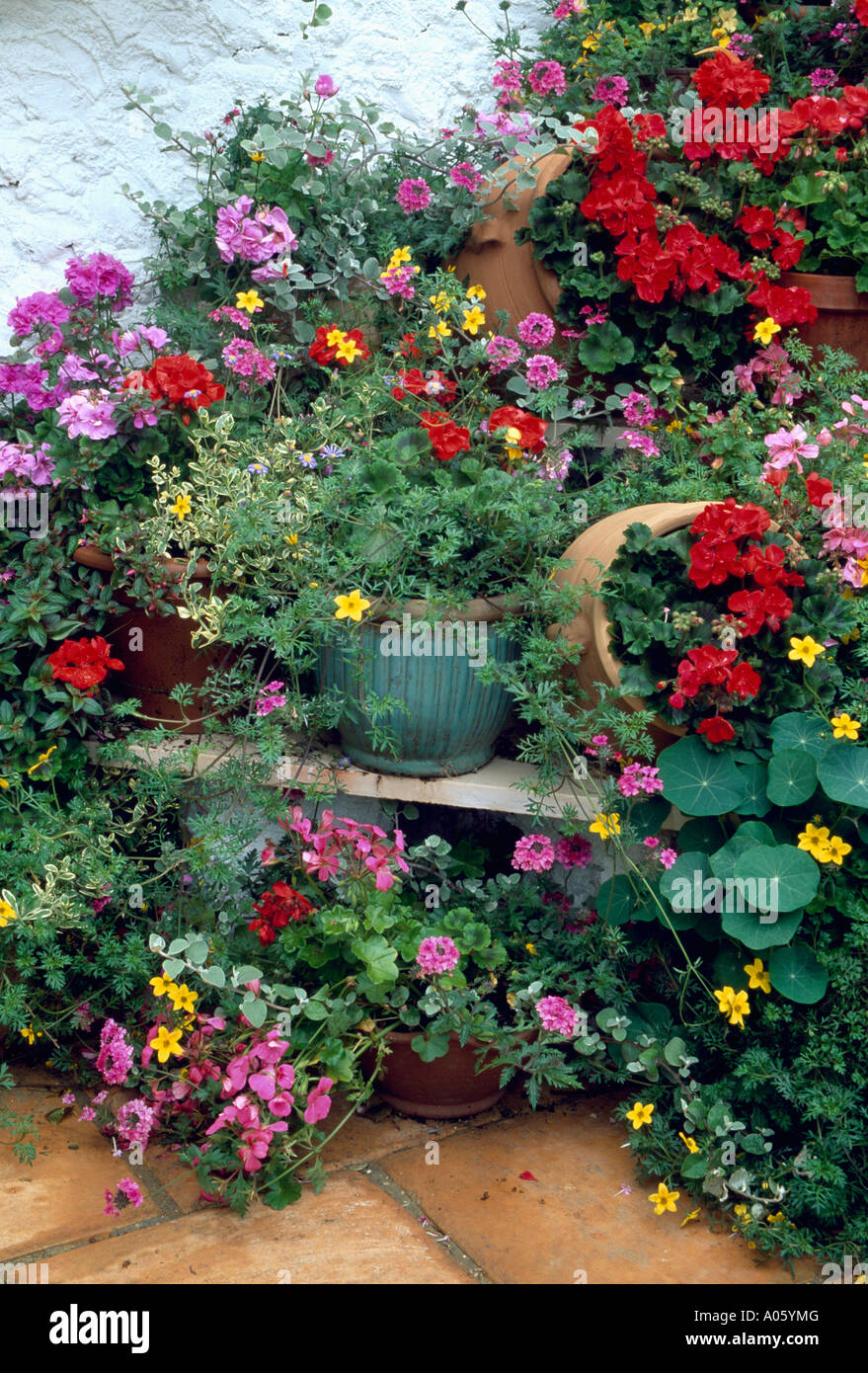 Group of planted pots hi-res stock photography and images - Alamy