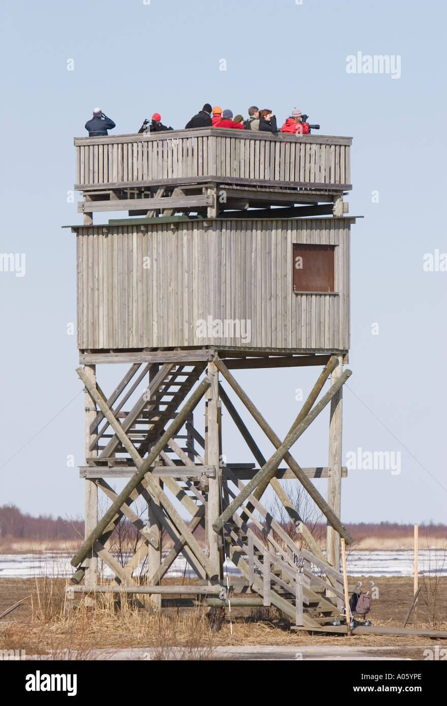 Bird spotting location hi-res stock photography and images - Alamy