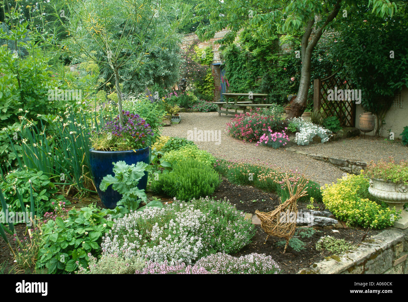 Raised herb bed in walled garden with gravel path Stock Photo - Alamy