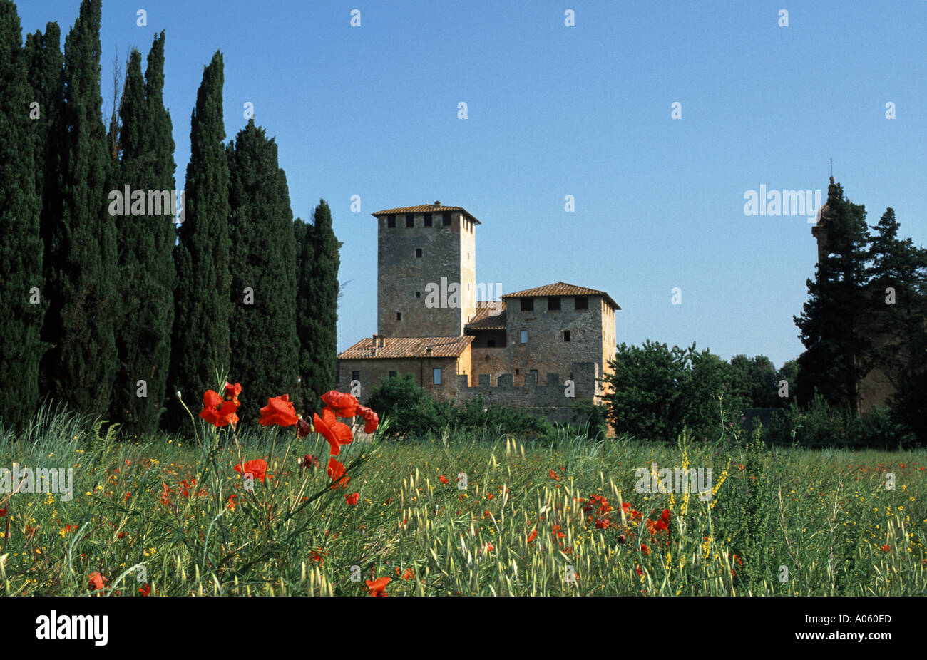 Tuscan landscape Italy Stock Photo - Alamy