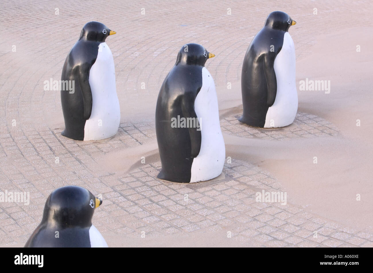 Redcar penguins hi-res stock photography and images - Alamy