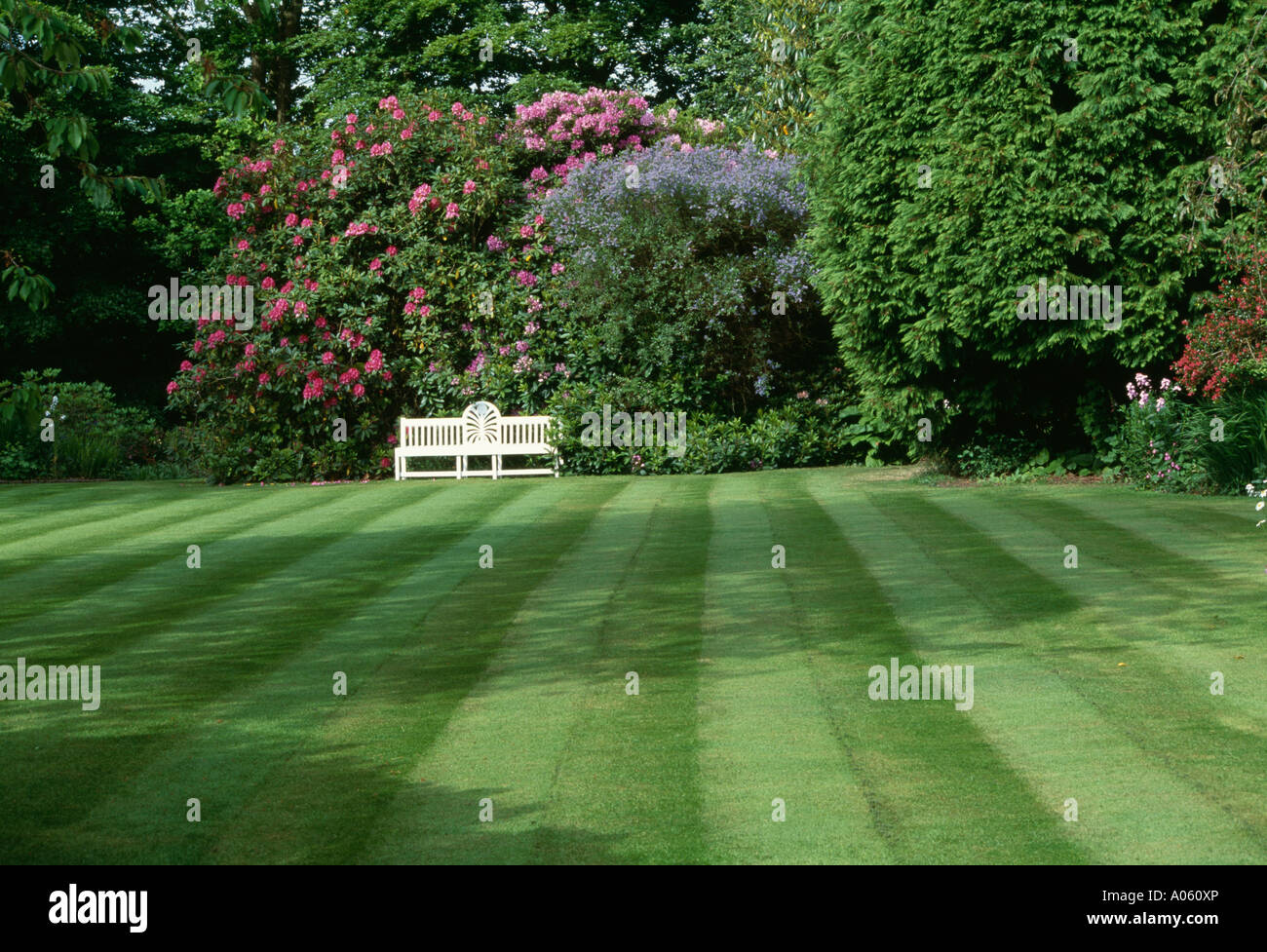 Large mown lawn with white bench in the distance Stock Photo - Alamy