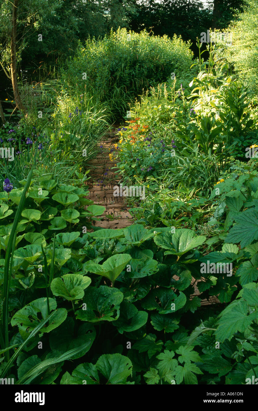 Brick path through green plants in garden Stock Photo - Alamy