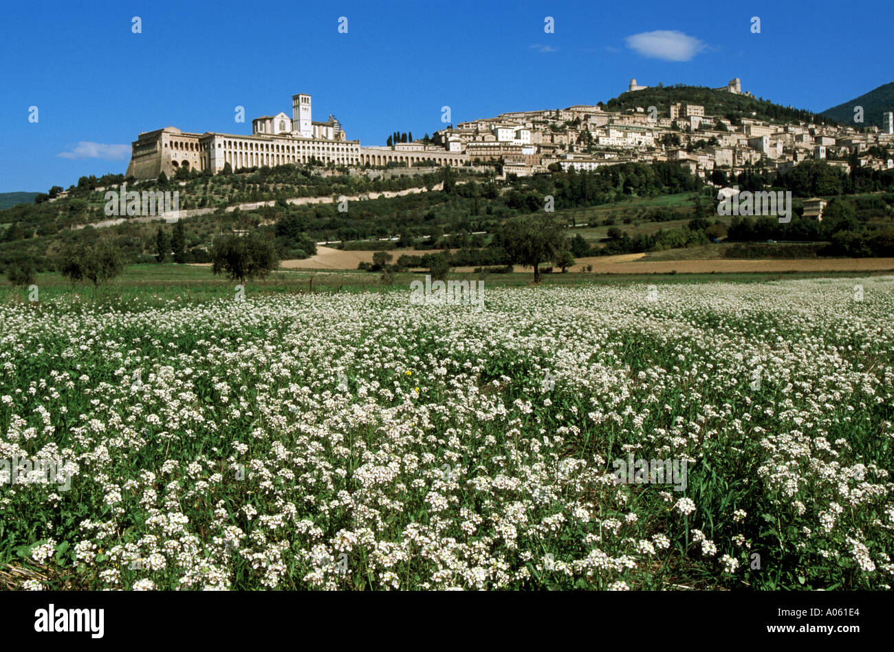 Basilica di San Fransisco Assisi Umbria Italy Stock Photo - Alamy