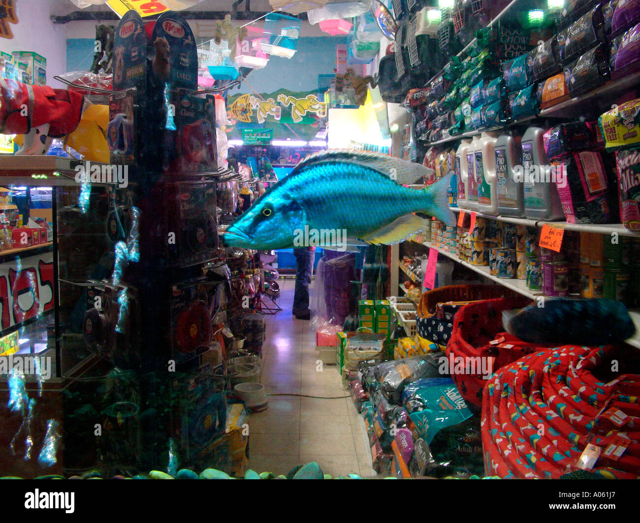 Through a fish tank hi-res stock photography and images - Alamy