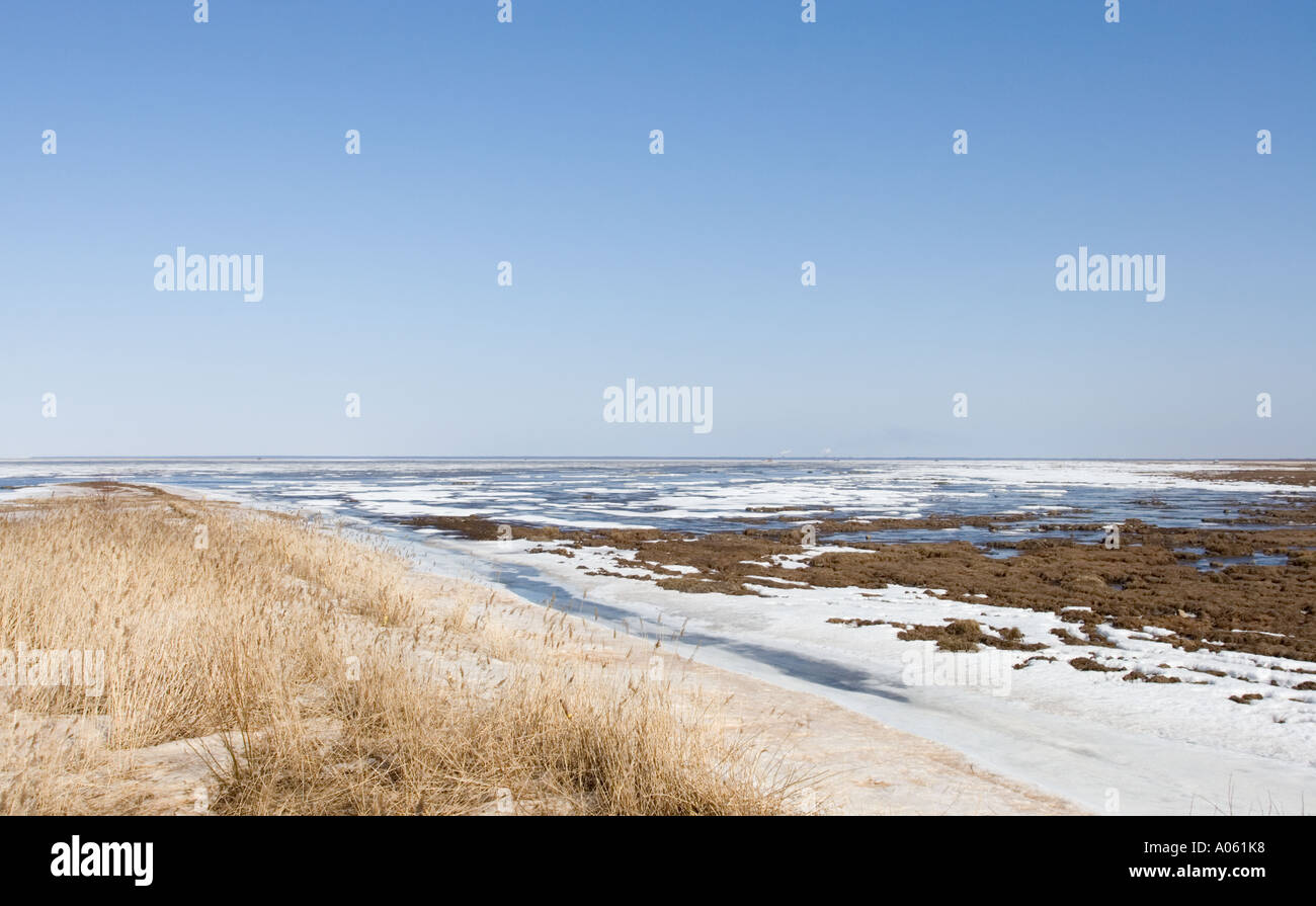 View of Liminka Bay nature reserve's marsh lands and sea shore ...