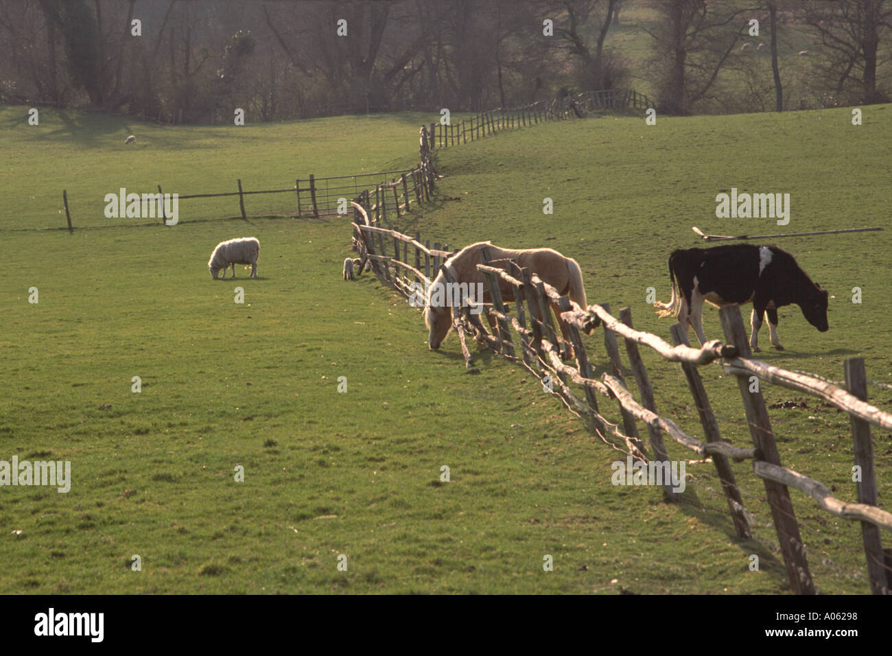 Rural Scene Nr Petworth West Sussex England Stock Photo - Alamy