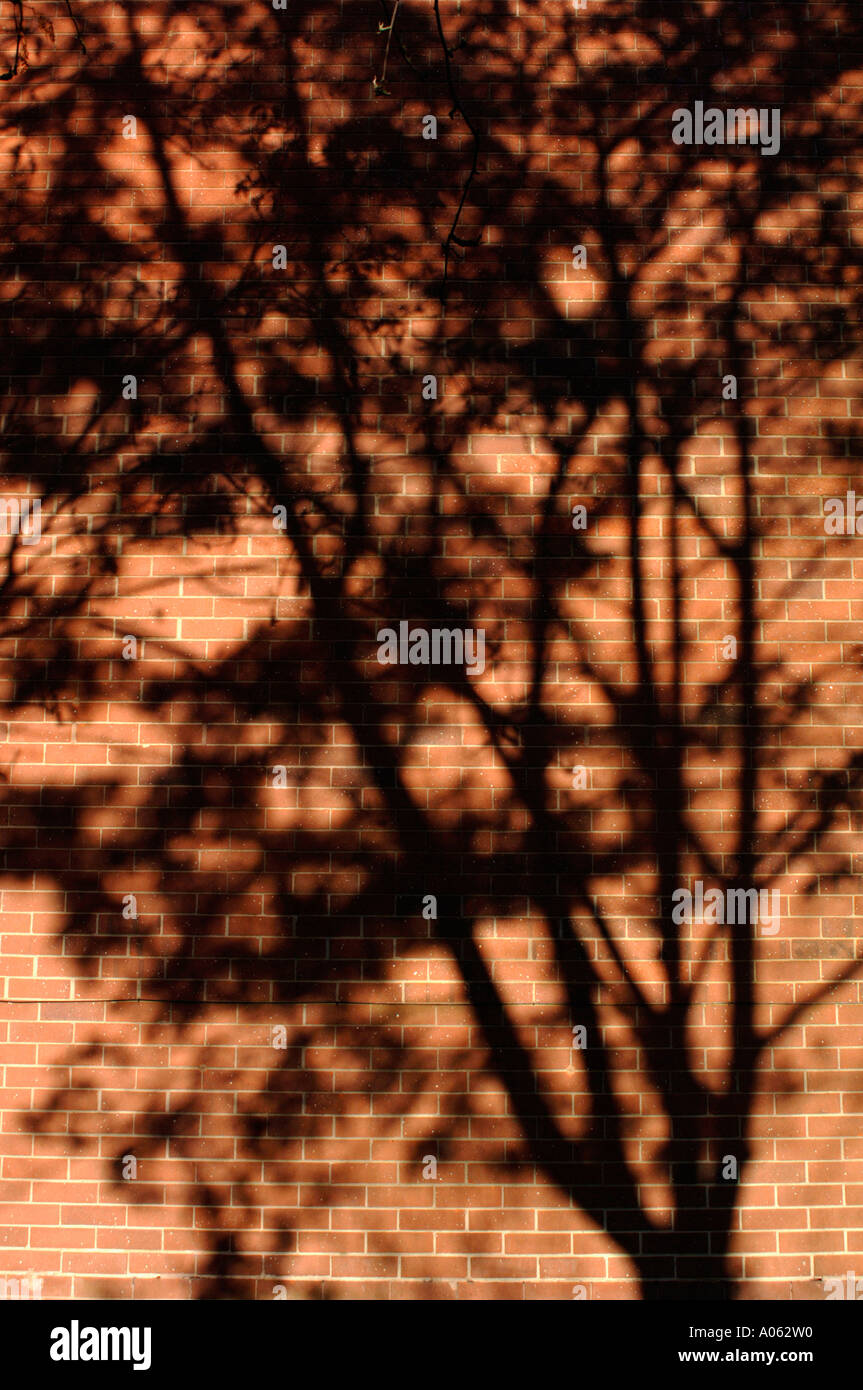 Shadows highlights hi-res stock photography and images - Alamy