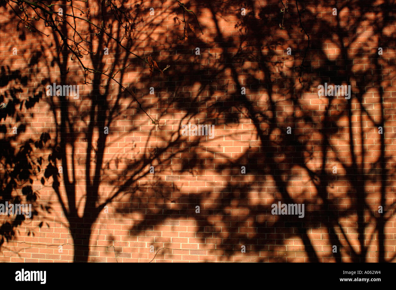 Shadows highlights hi-res stock photography and images - Alamy