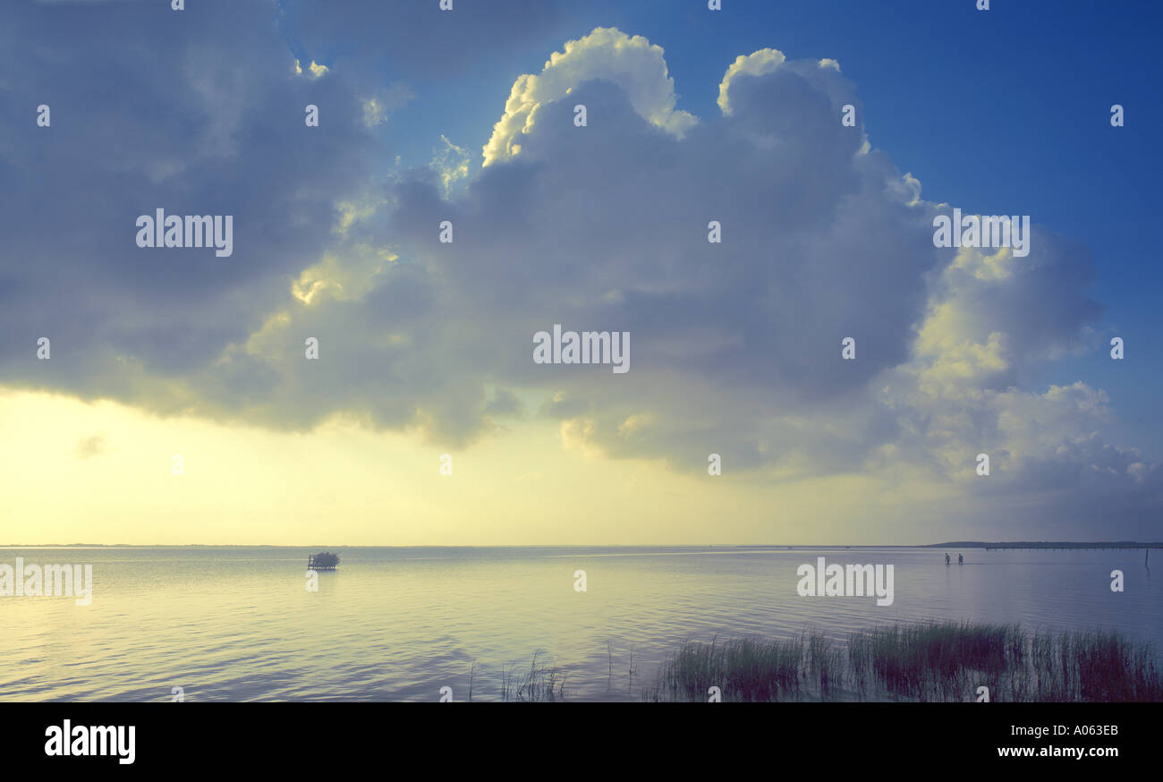 Early hi-res stock photography and images - Alamy