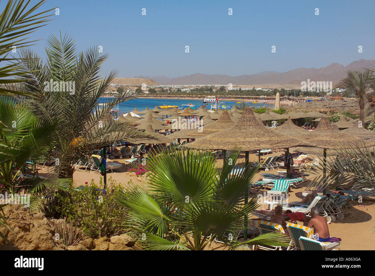Egypt, Sharm El Sheikh, Naama Bay Stock Photo - Alamy