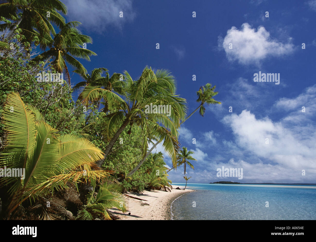 Palm trees and beach One Foot Island near Aitutaki Cook Islands South ...