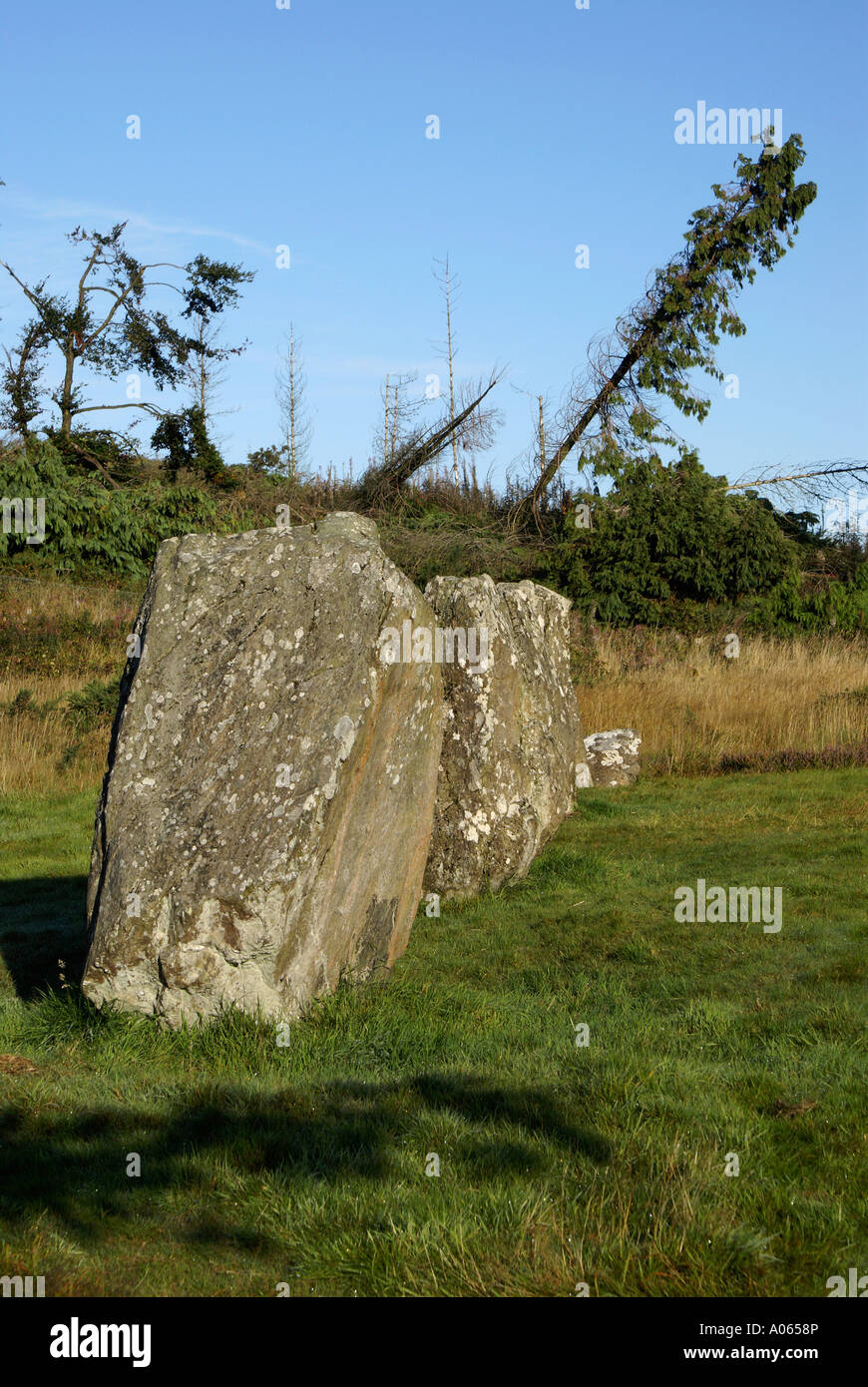 Shantemon or Five Fingers standing stones Stock Photo - Alamy