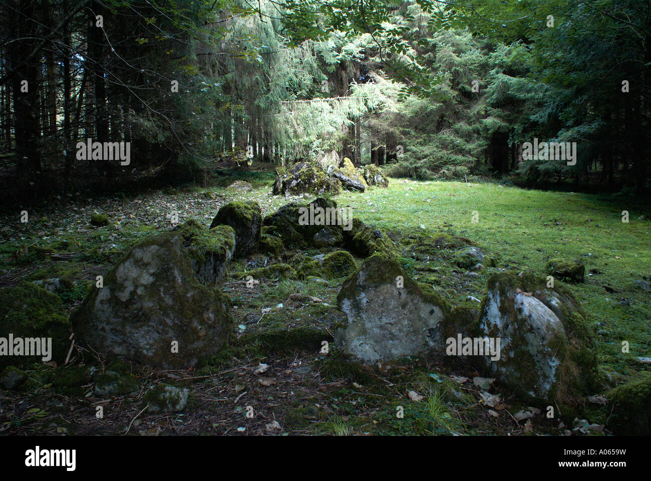 Green mossy mound hi-res stock photography and images - Alamy