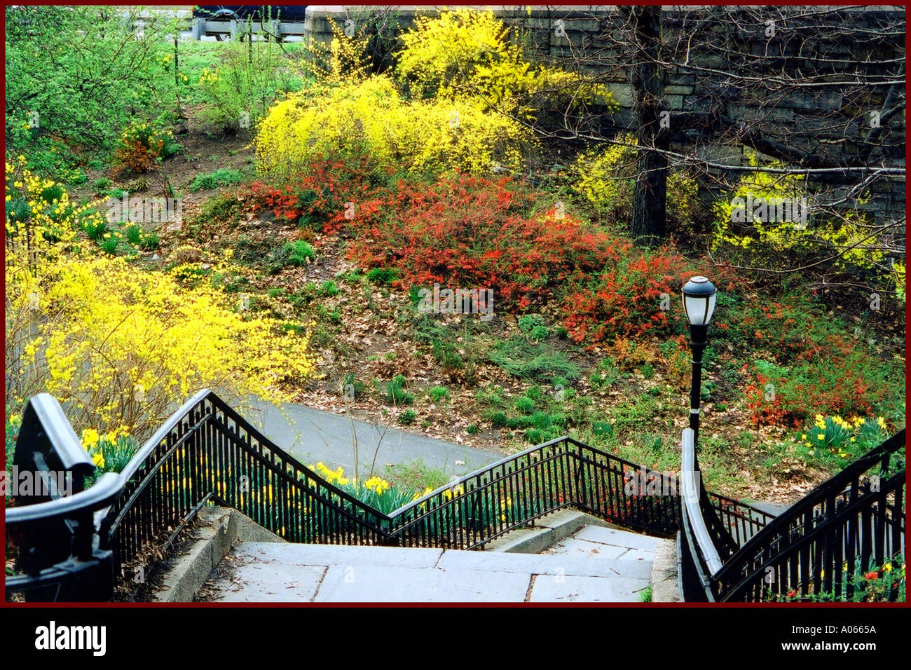 Spring at Riverside Park NYC Stock Photo - Alamy