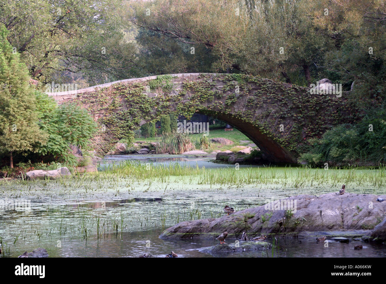 Gapstow Bridge, Central Park, Manhattan, New York Stock Photo - Alamy