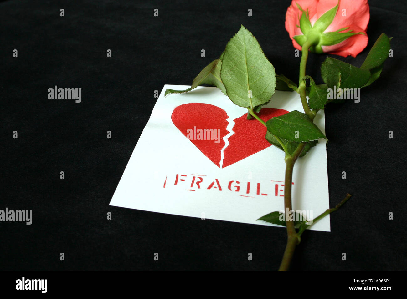 Black Rose And Broken Heart