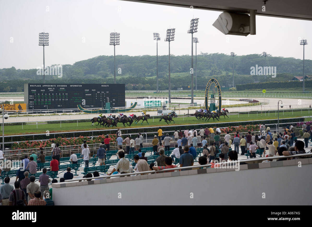 Horse Racing at Singapore Turf Club Stock Photo - Alamy