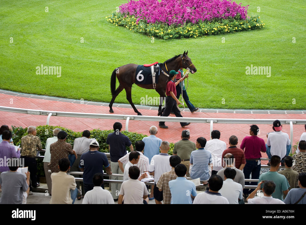 Singapore horse racing hi-res stock photography and images - Alamy
