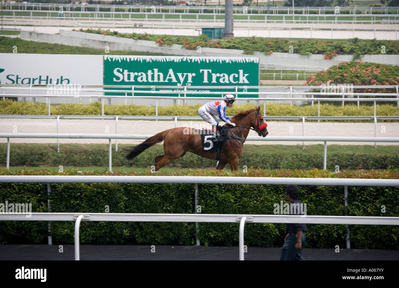 Singapore Turf Club Stock Photo - Alamy