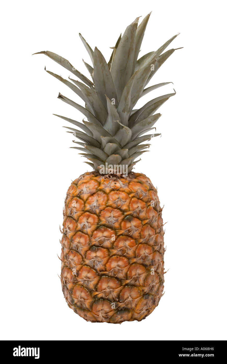 Puerto rico food eating Cut Out Stock Images & Pictures - Alamy