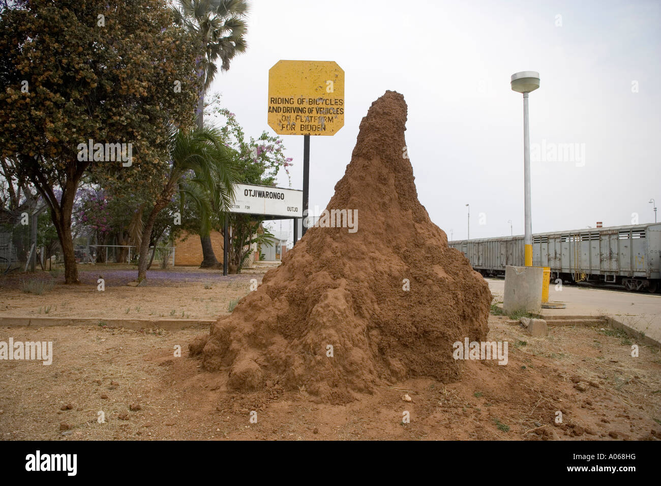 Anthill at the Railway Station in Otjiwarongo Namibia Stock Photo - Alamy