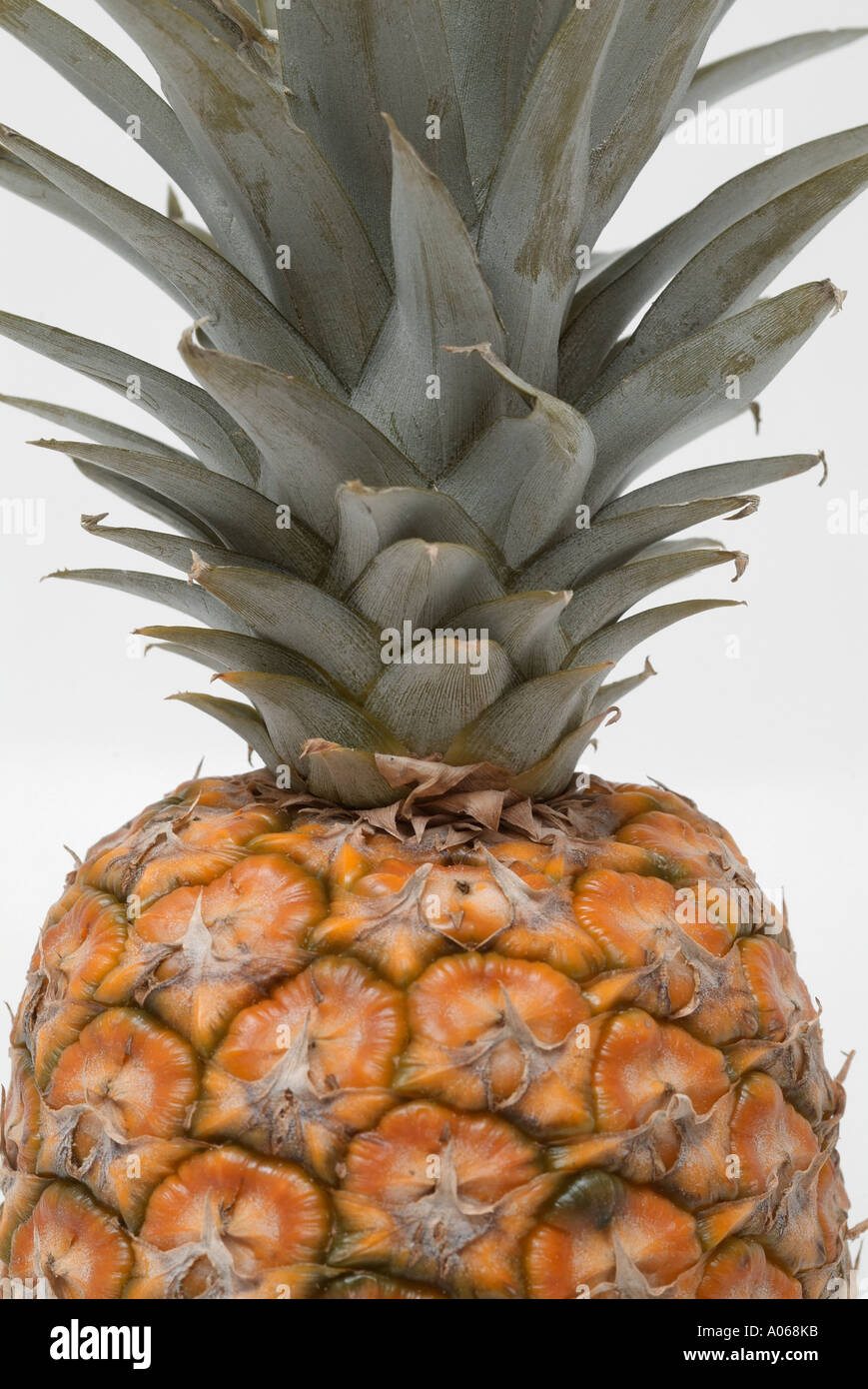 Puerto pina hi-res stock photography and images - Alamy