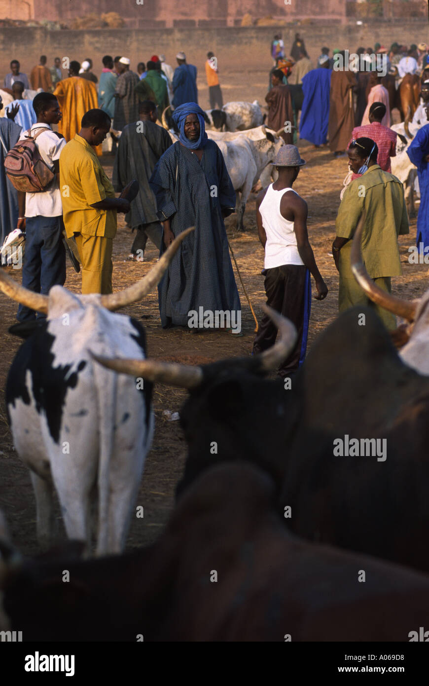 cattle market in Bamako Mali Stock Photo - Alamy