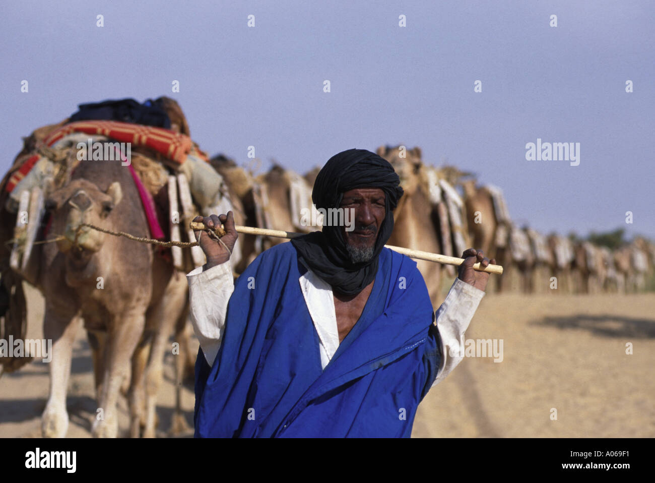 A salt caravan in Mali bringing salt out of the Sahara desert Stock ...