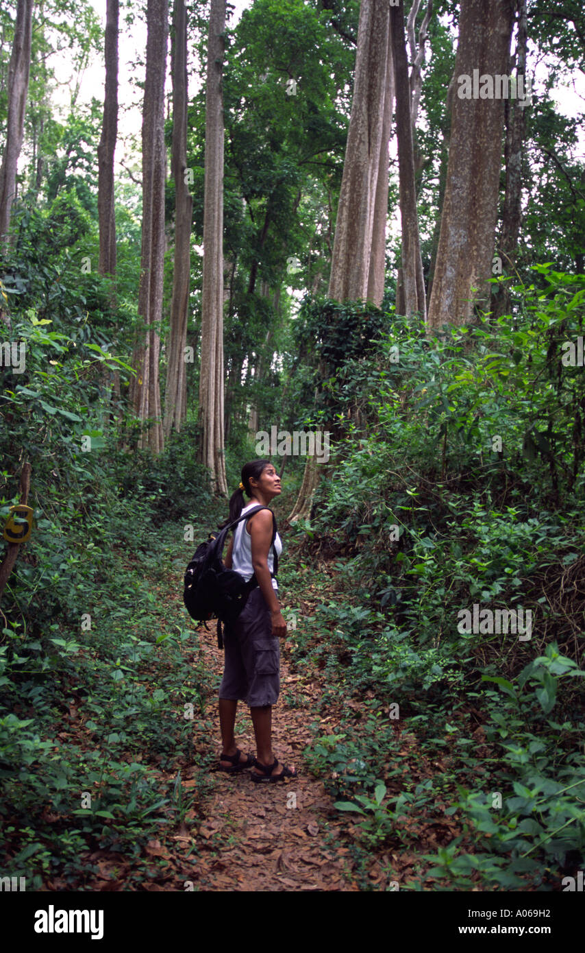 Hiking in the jungle. Lao Pako, Outside Vientiane, Laos Stock Photo - Alamy