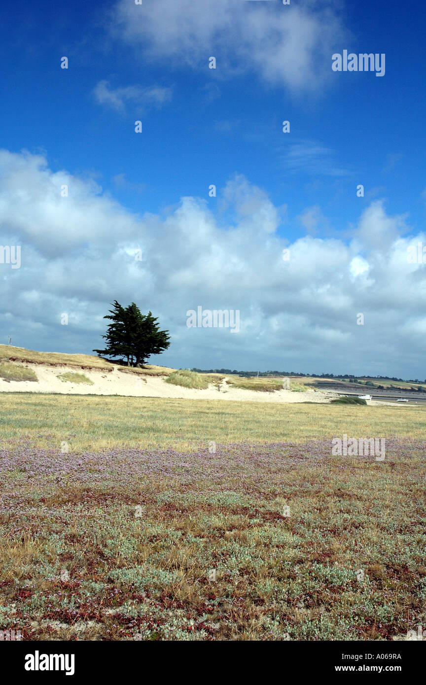 Olner hi-res stock photography and images - Alamy