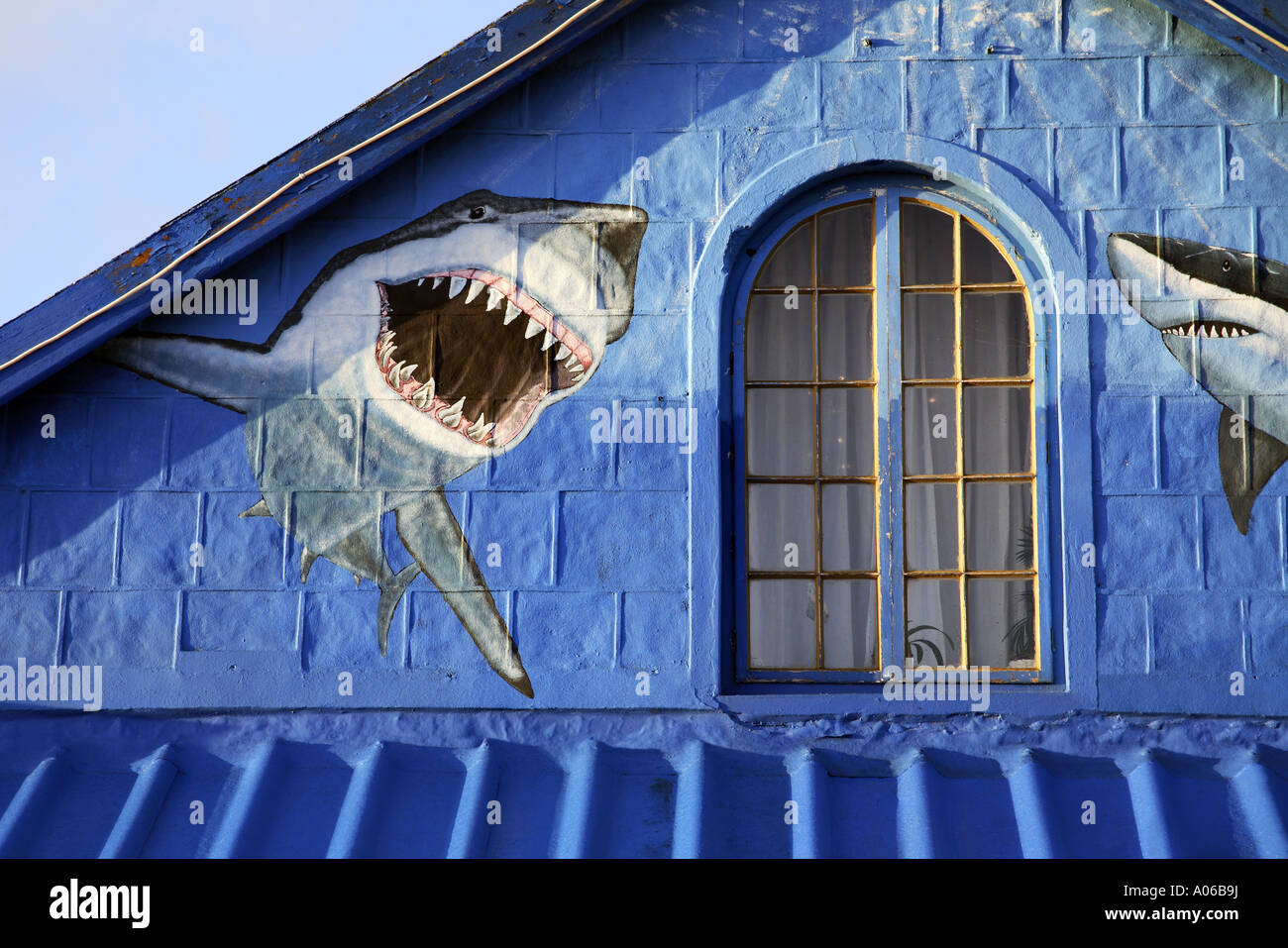 shark mural paint on the wall of house Stock Photo - Alamy