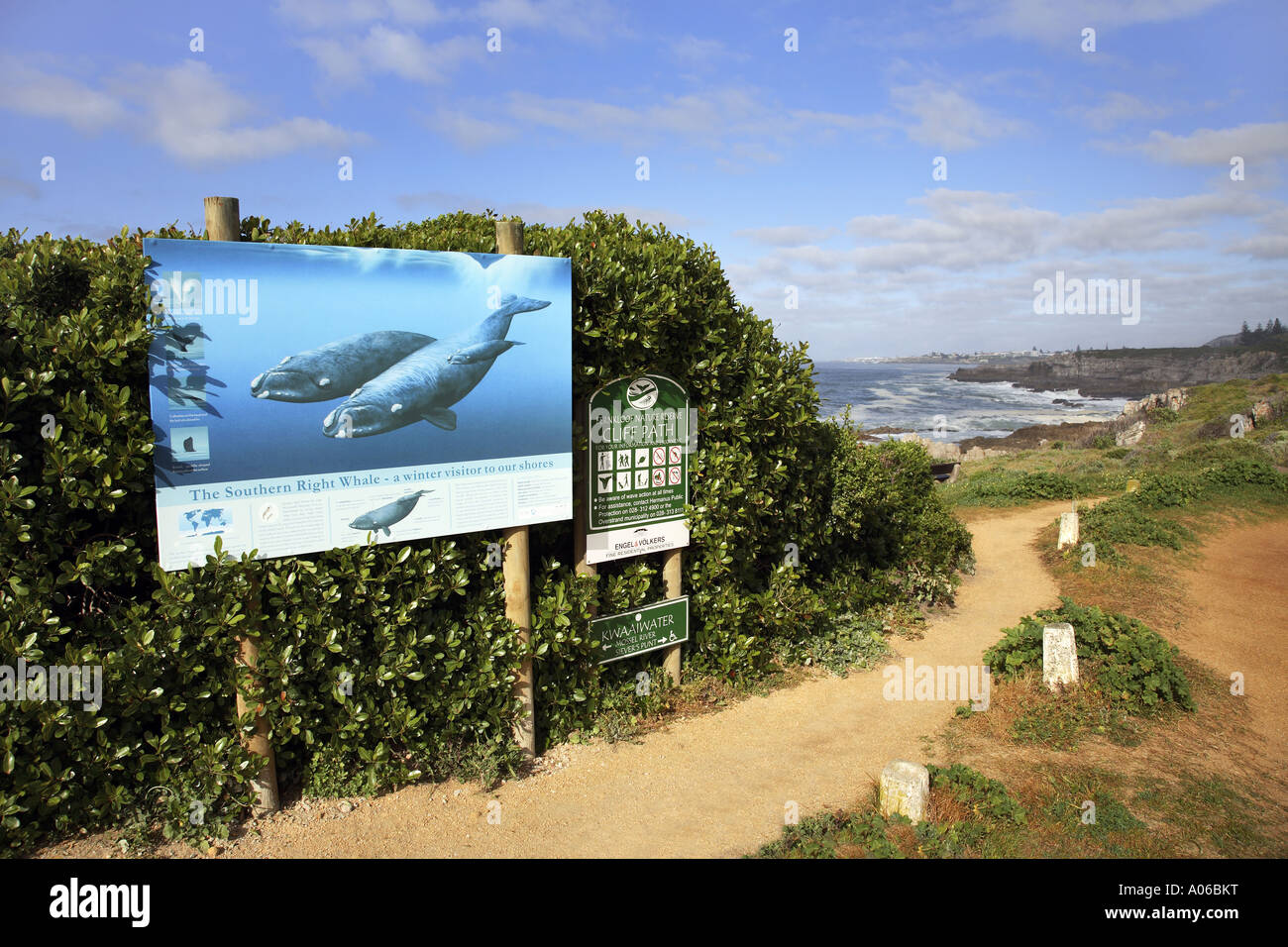 Whale sign hermanus south africa hi-res stock photography and images ...