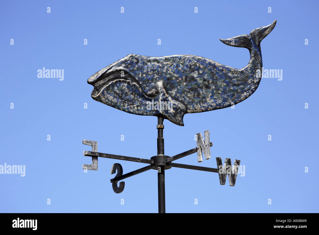 whale weather vane in Hermanus South Africa Stock Photo - Alamy