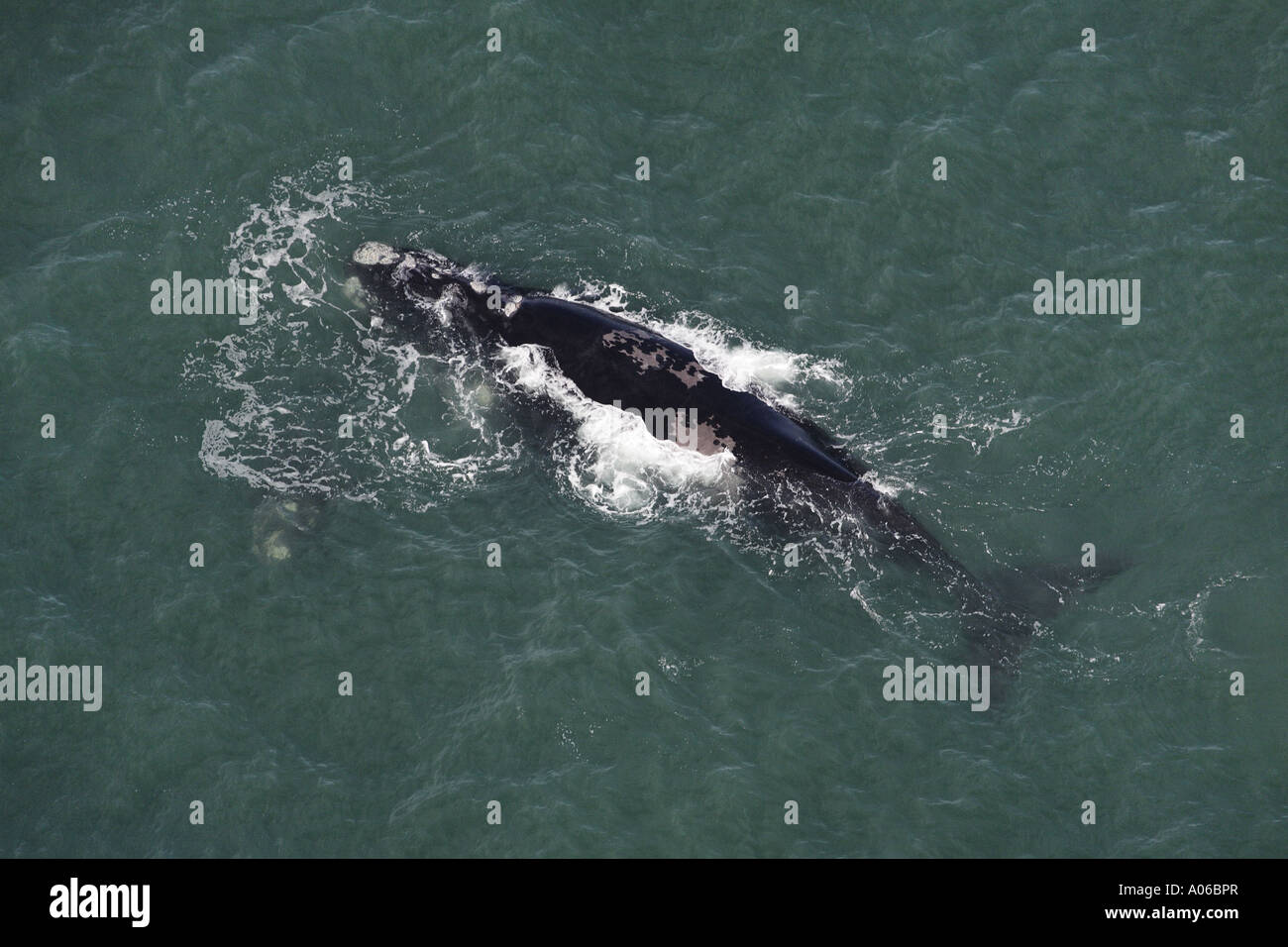 Wide view right over ocean hi-res stock photography and images - Alamy
