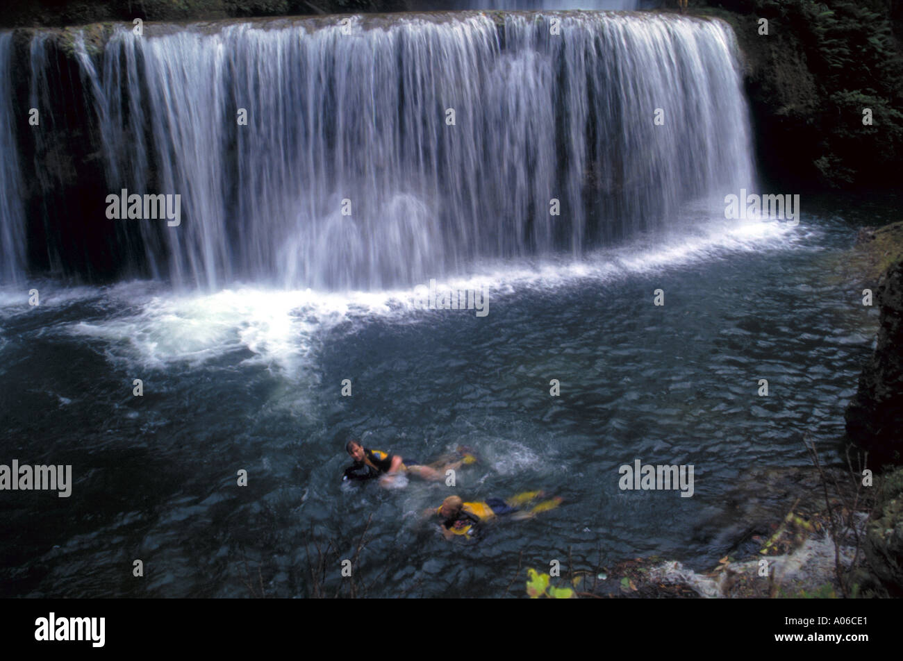 swimming in the river Stock Photo - Alamy