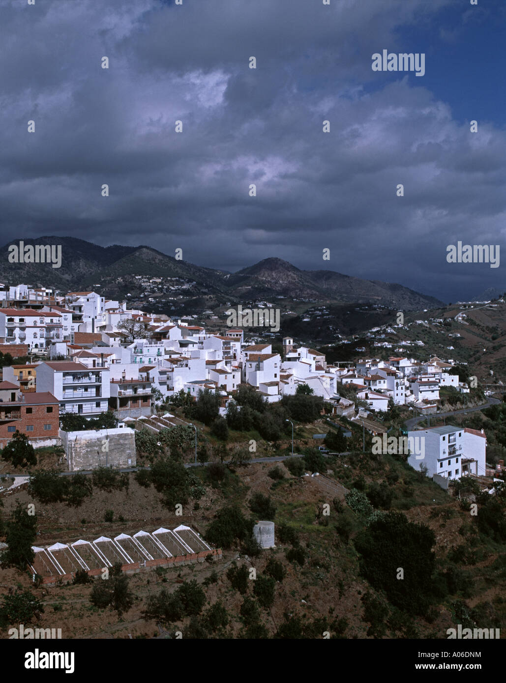 Corumbela hi-res stock photography and images - Alamy