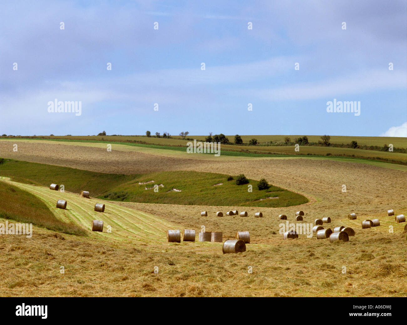 Chalk cut white horse hi-res stock photography and images - Alamy
