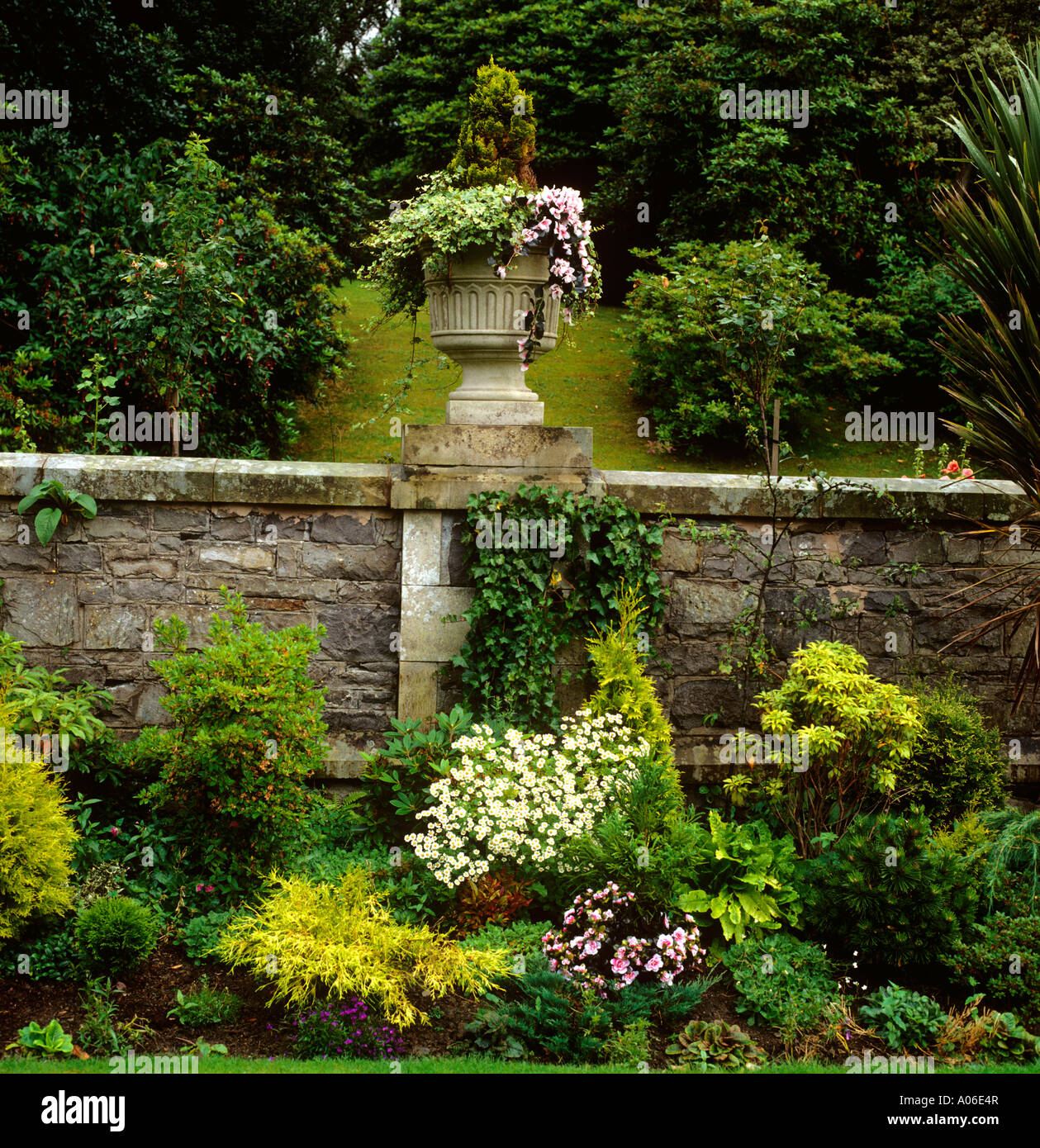 Step by step flower planting hi-res stock photography and images - Alamy