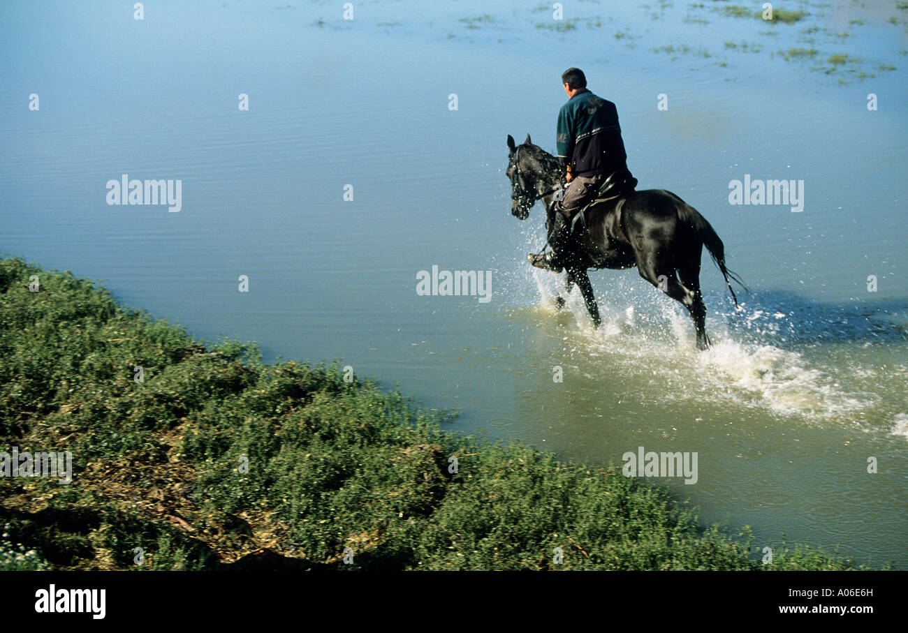 Man riding horse through water hi-res stock photography and images - Alamy