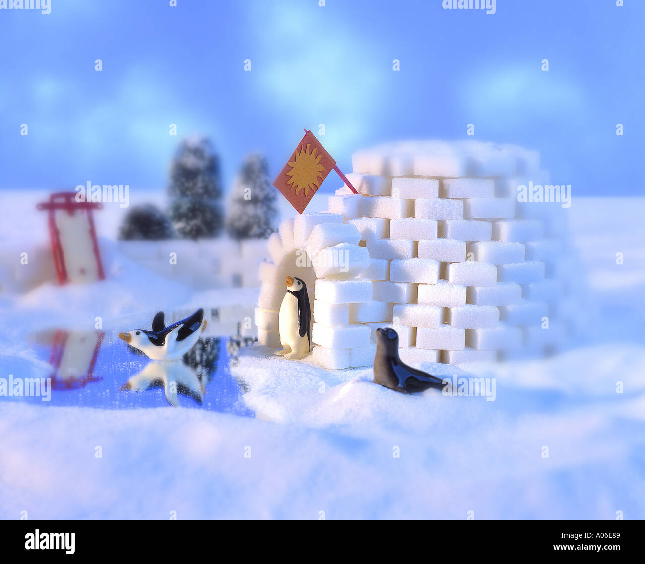 penguins at play Stock Photo - Alamy