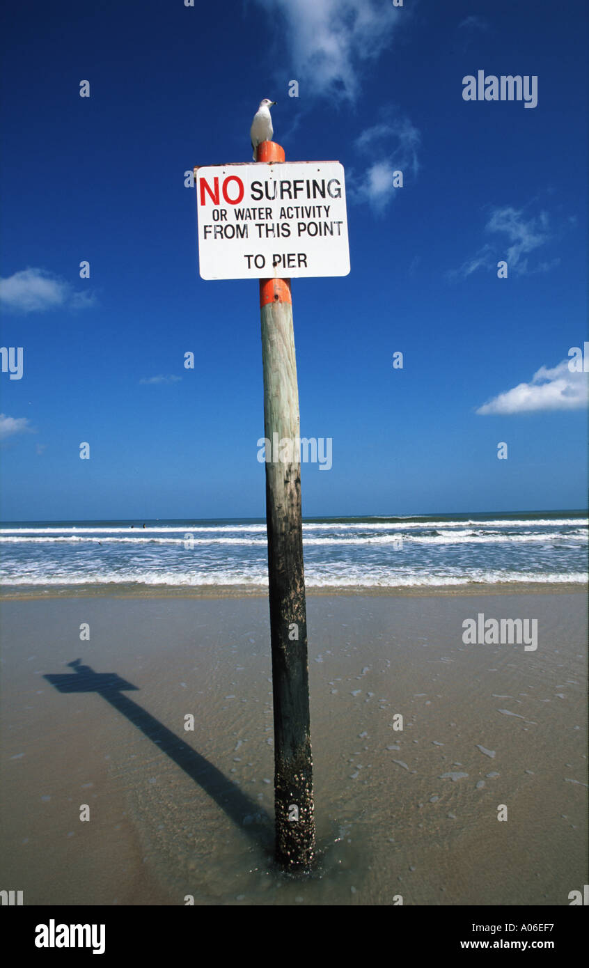 "No surfing" Sign on Beach, Daytona Beach, Florida, USA Stock Photo - Alamy